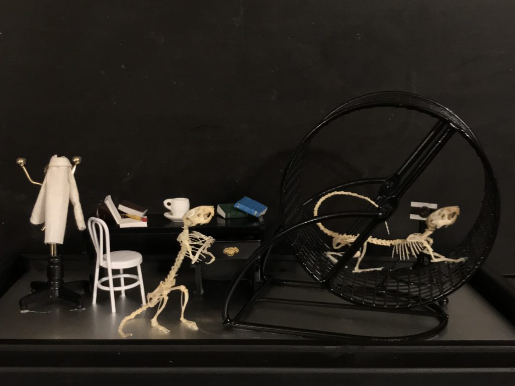 Custom Diorama – SkAr